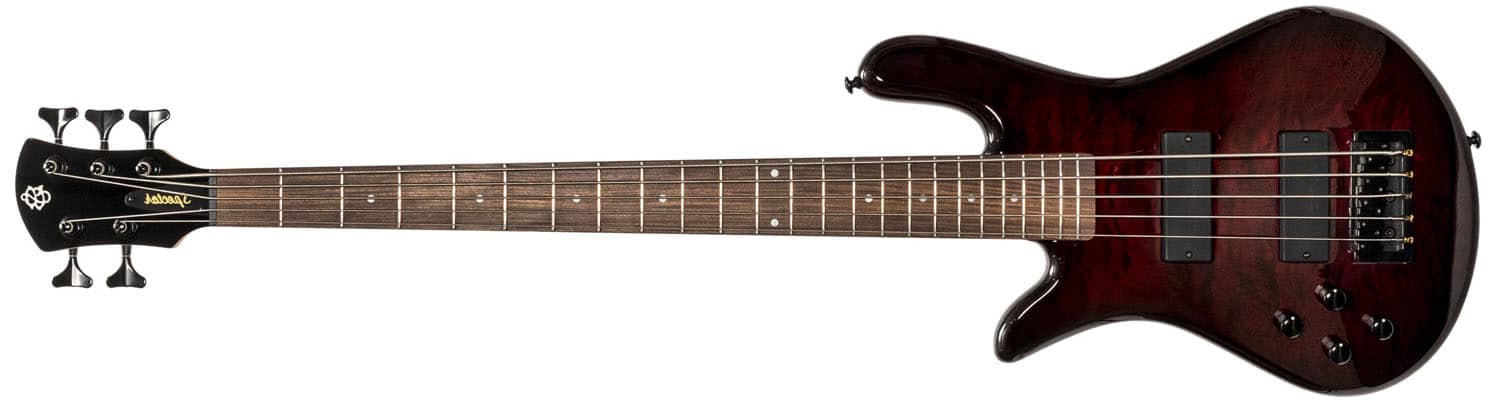 Left Handed Spector Bass Guitars 2022 - Powerful & Modern Basses ...
